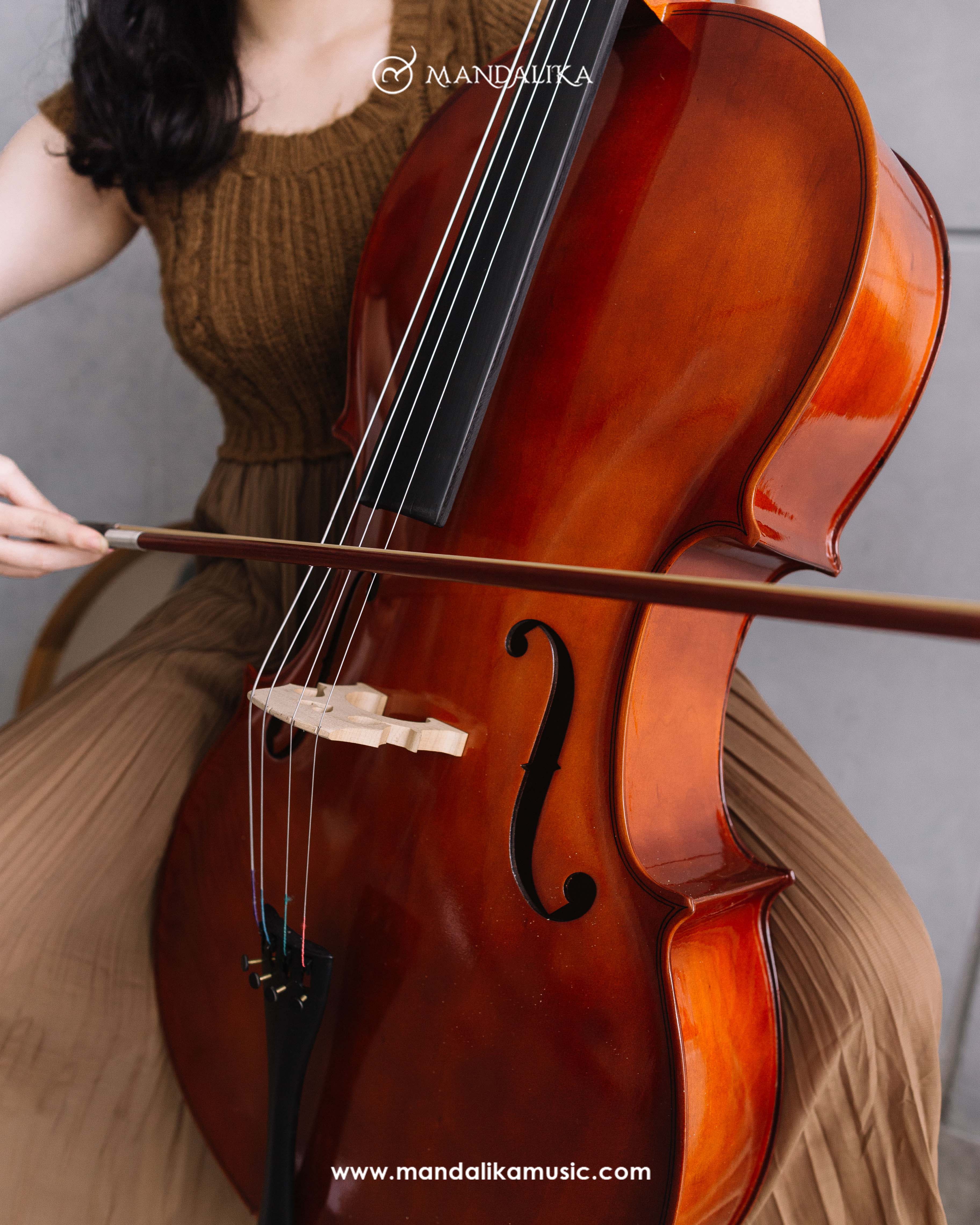 Selo Akustik vs Elektrik: Mana Yang Lebih Baik? – Mandalika Music